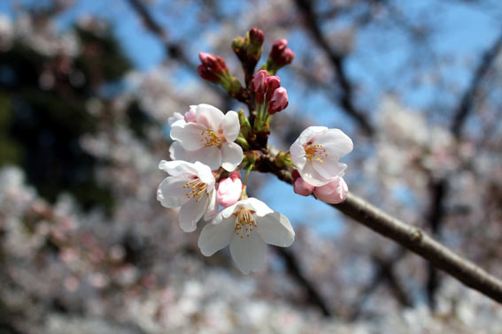 FULLBLAST BLOG | FULLBLAST