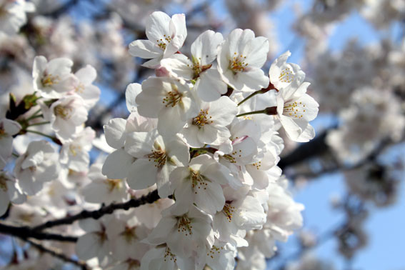 FULLBLAST BLOG | FULLBLAST